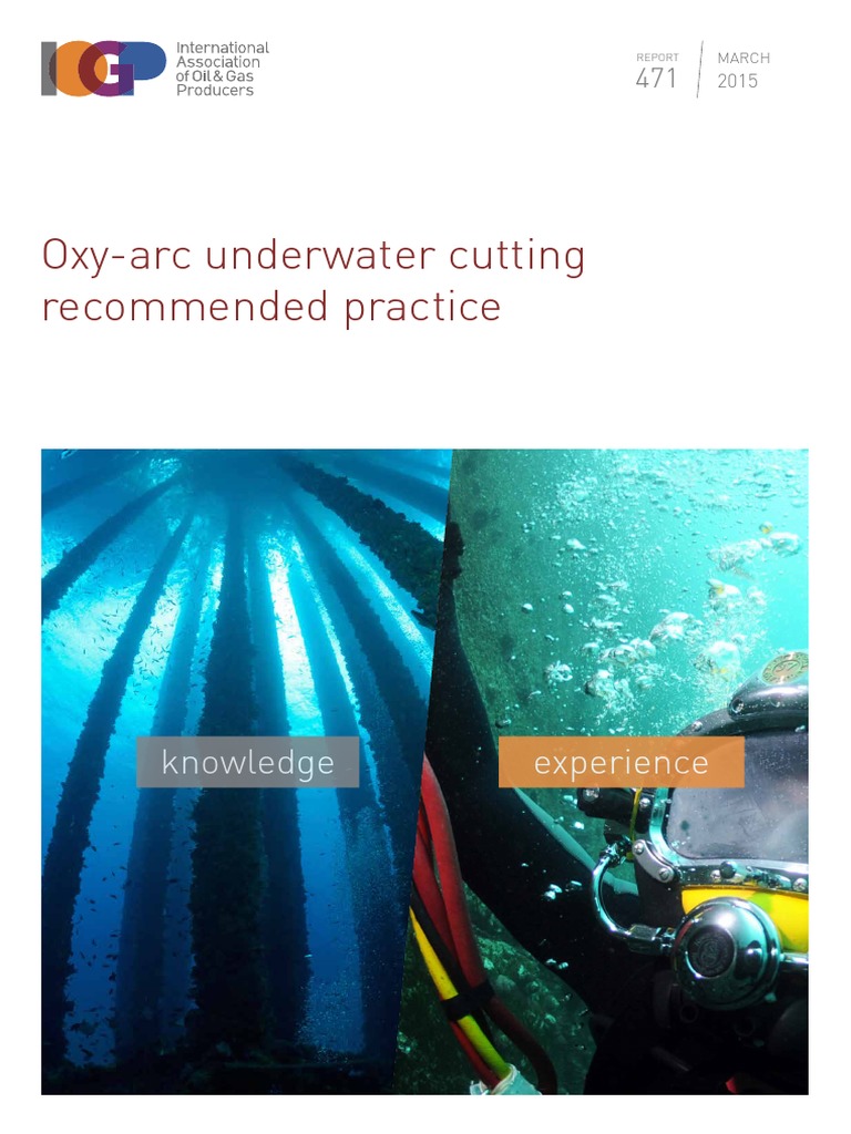 471 | PDF | Underwater Diving | Switch