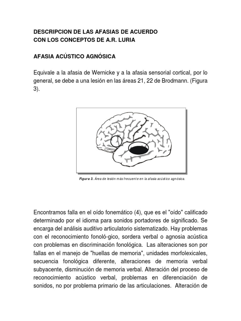Afasias Luria | PDF | Afasia | Palabra