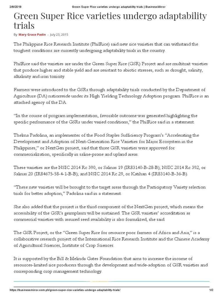 Varietal Selection Rice | PDF | Rice | Food And Drink