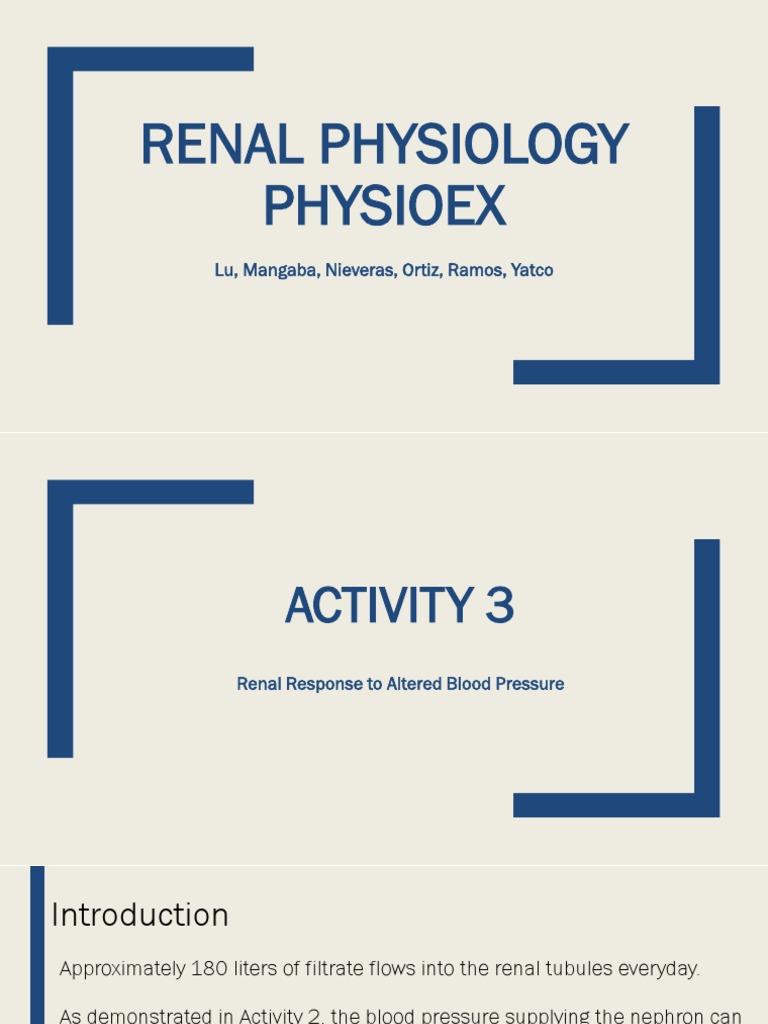 Renal Physiology PhysioEx | PDF | Animal Anatomy | Kidney