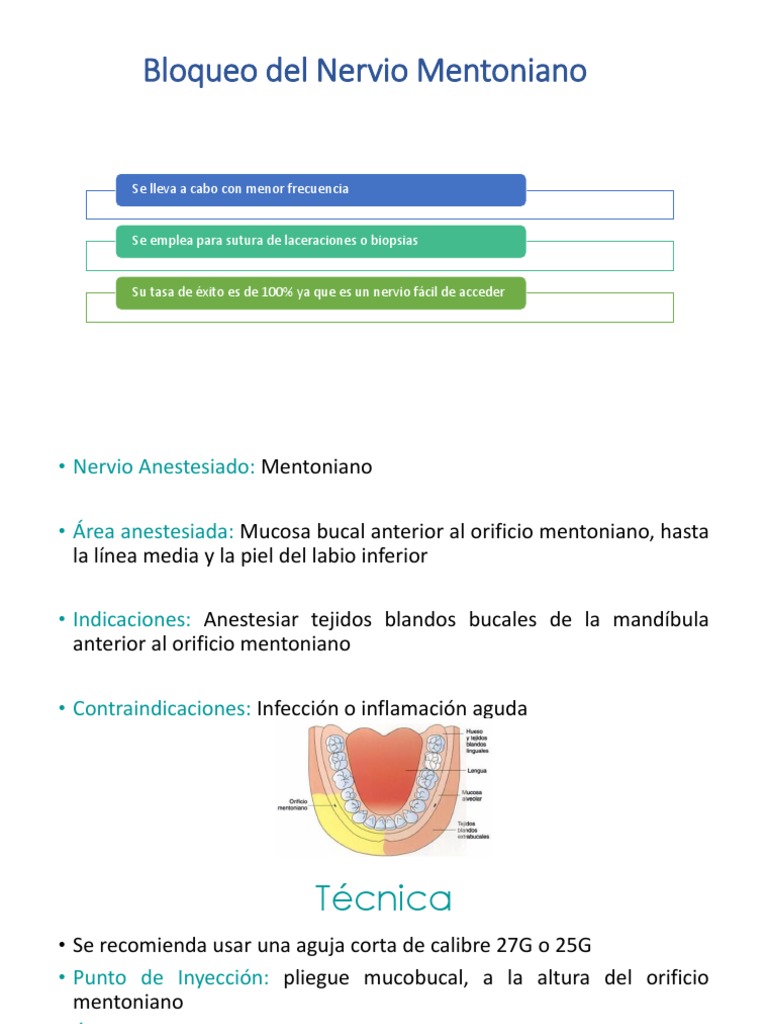 Bloqueo Del Nervio Mentoniano | PDF
