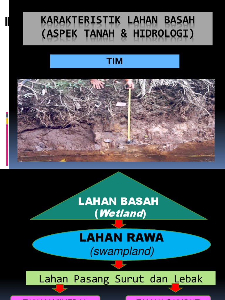 Pertemuan 4. Karakteristik Lahan Basah (Aspek Tanah & Hidrologi) - Z ...