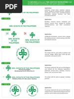 Badge Work & The 8 Point Challenge | PDF | Scouting | Leadership