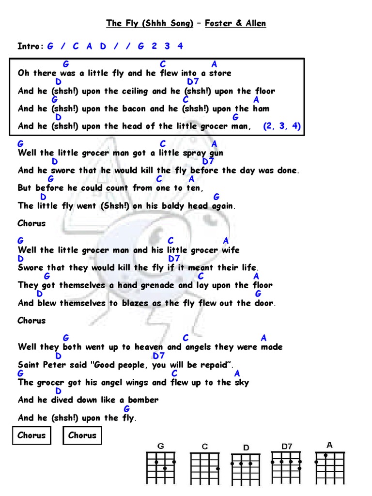 The Fly - Chords | PDF