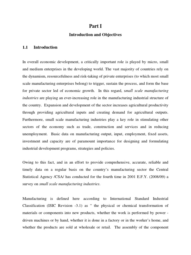 Small Scale Report-2010 | PDF | Survey Methodology | Book Value