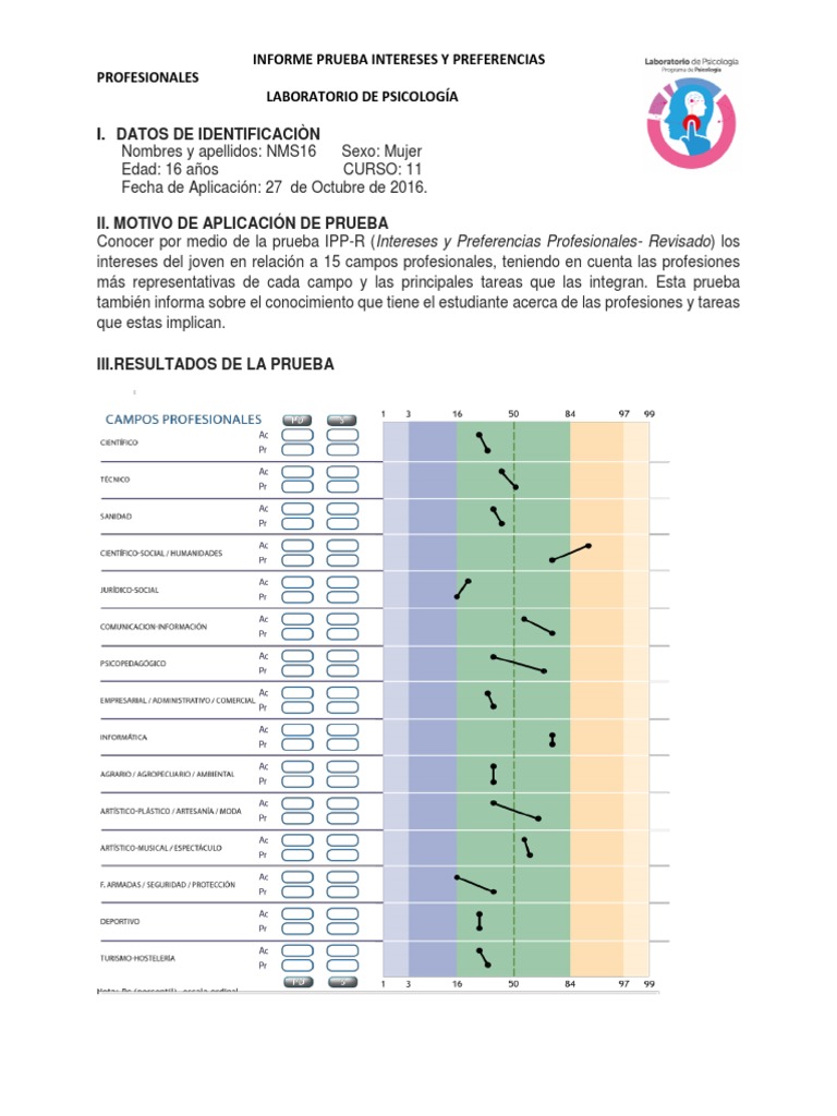 Informe Ippr Nms 16 | PDF | Informática | Sicología