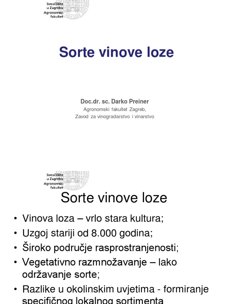 Sorte Vinove Loze | PDF