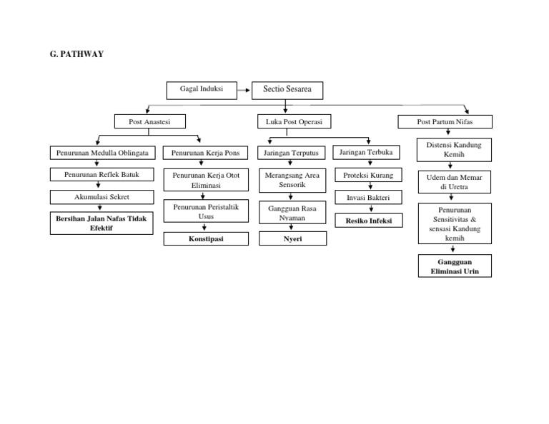 Pathway Induksi dan Histerektomi | PDF