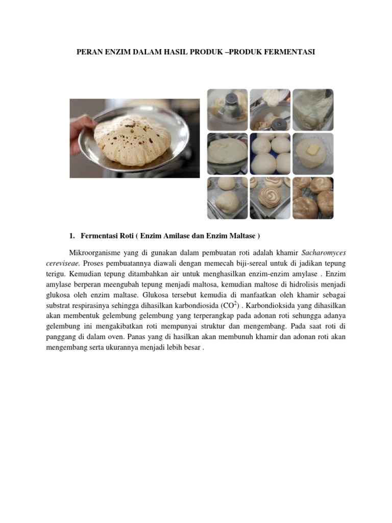 Peran Enzim Dalam Hasil Produk | PDF