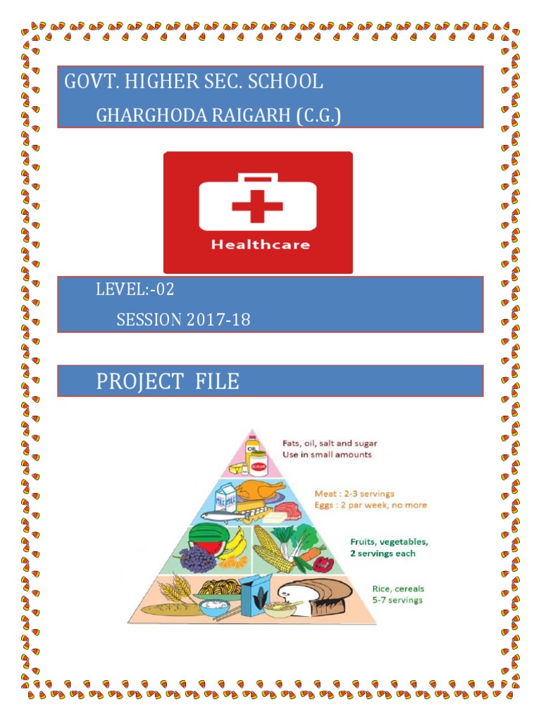 Govt. Higher Sec. School: Project File | PDF