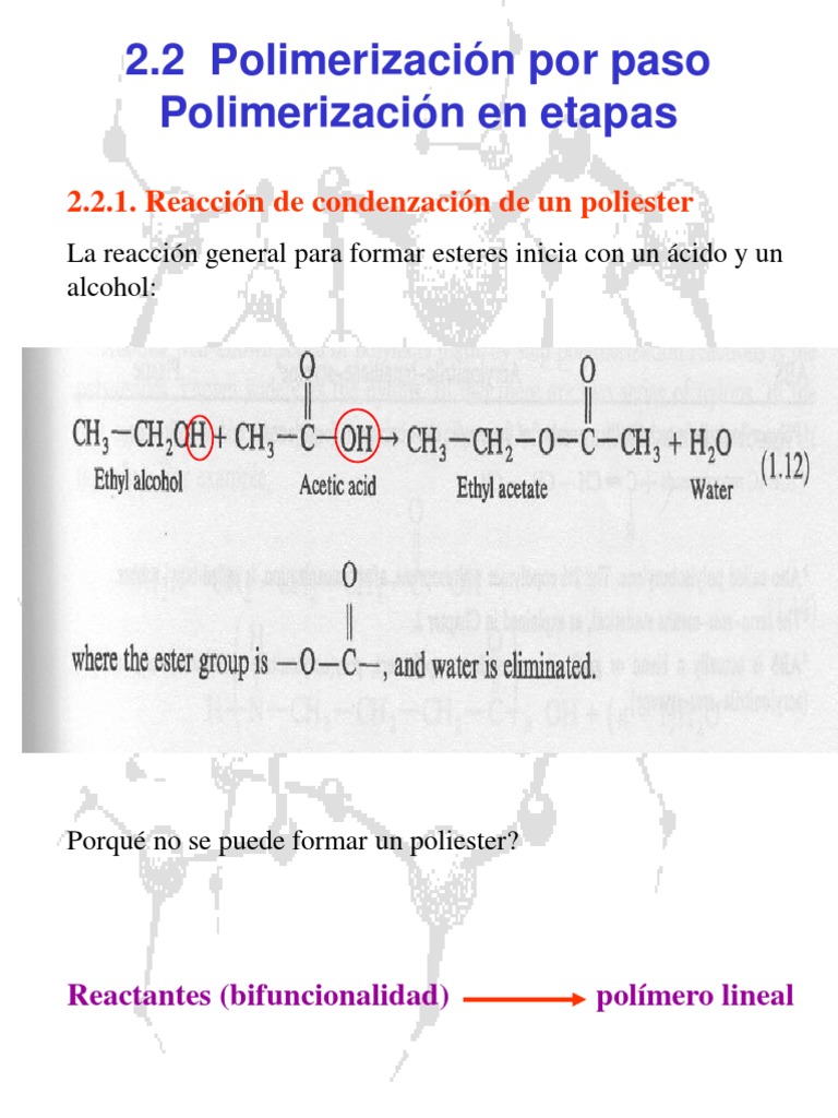 Polimerización por etapas y polimerización por radicales libres ...