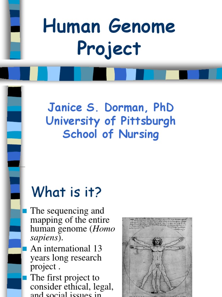 Overview of the Human Genome Project | PDF | Human Genome | Gene