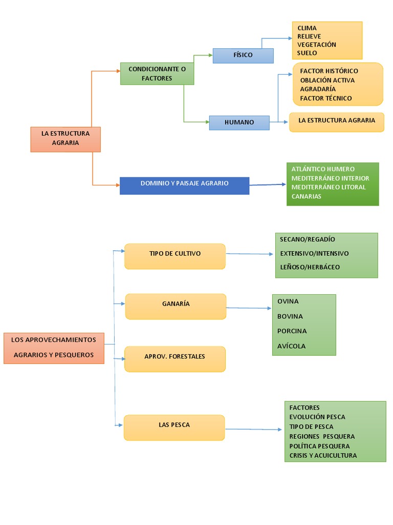 Esquema Tematico | PDF