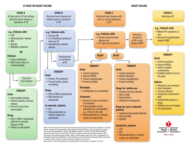 Algoritma CHF | PDF | Heart Failure | Myocardial Infarction