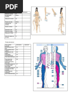 Test de Adams | PDF | Escoliosis | Especialidades Medicas