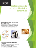 20 Ejemplos de Indigenismos | PDF | Chocolate | Alimentos