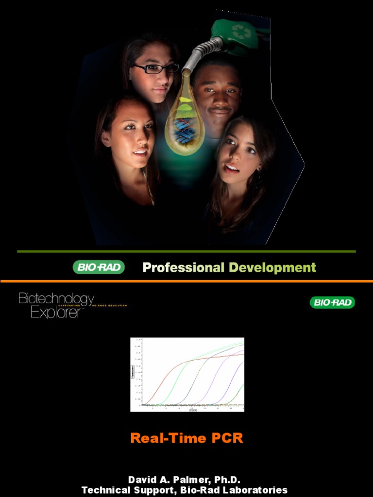 Real Time Pcr Basics Pdf Real Time Polymerase Chain Reaction