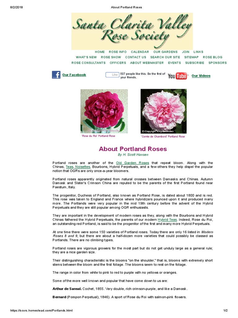 About Portland Roses: Our Facebook Our Videos | PDF | Domesticated ...