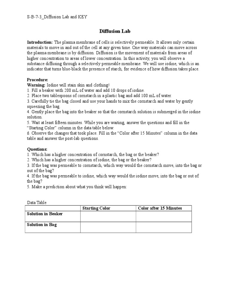 Iodine and Starch Diffusion Lab Results | PDF | Cell Membrane | Diffusion