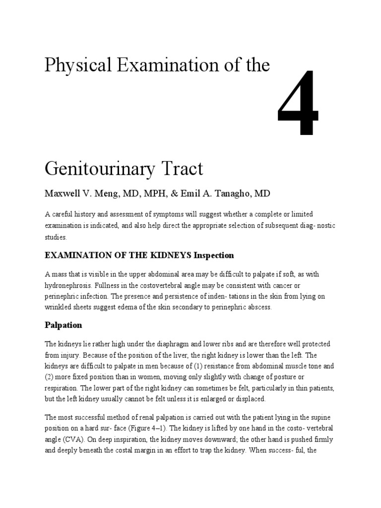 Physical Examination of The 4 Genitourinary Tract | PDF | Prostate | Prostate Cancer