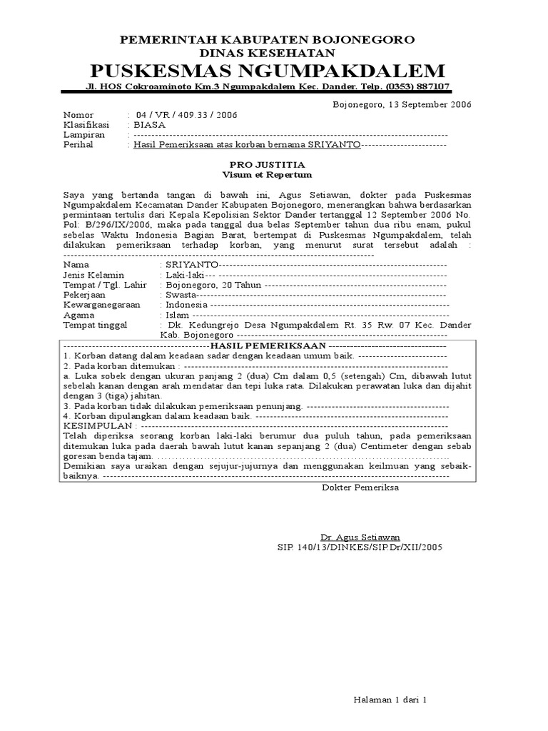 FORMAT Visum Et Repertum | PDF