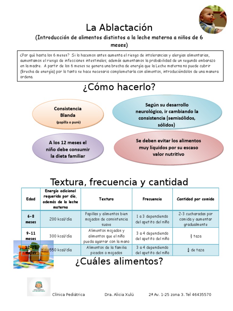 Guía de Ablactación para Bebés | PDF | La leche materna | Alimentos
