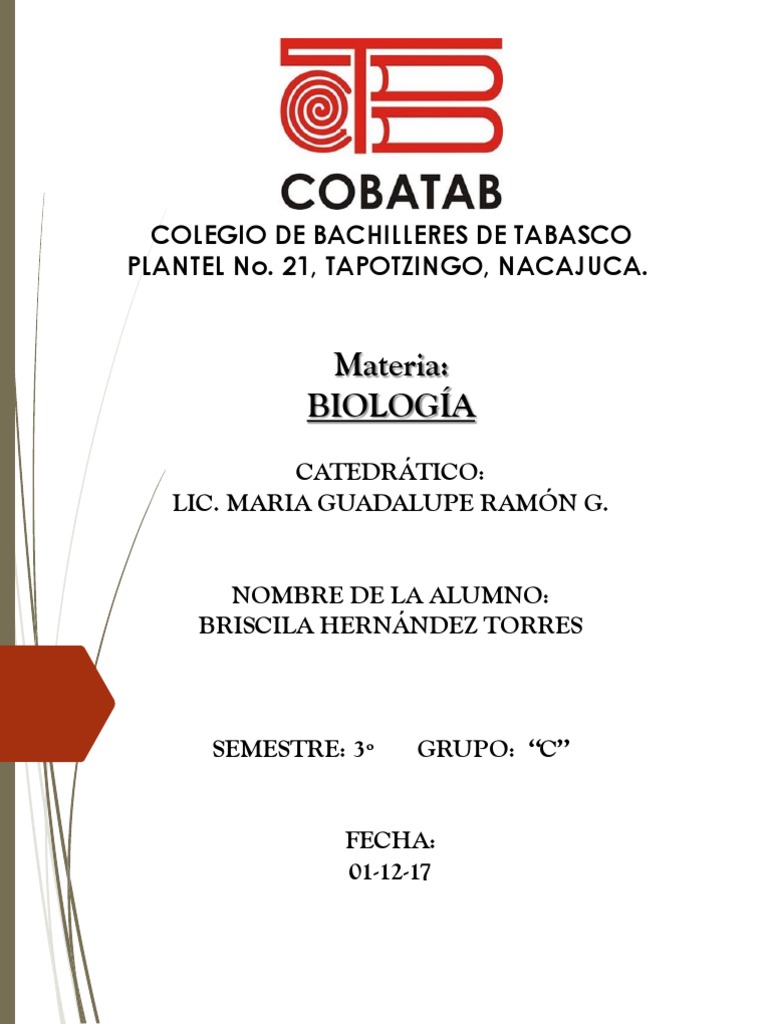 Presentación COBATAB | PDF | Hogar, jardinería y bricolaje | Ciencia y ...