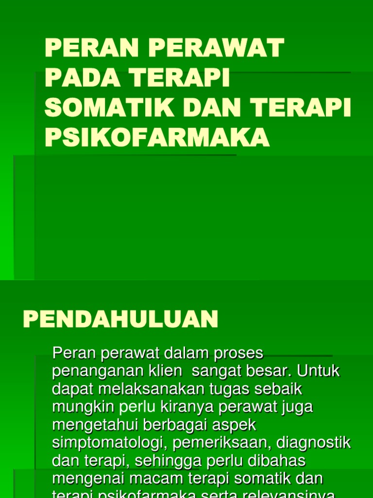 Peran Perawat Pada Terapi Somatik Dan Terapi Psikofarmaka | PDF