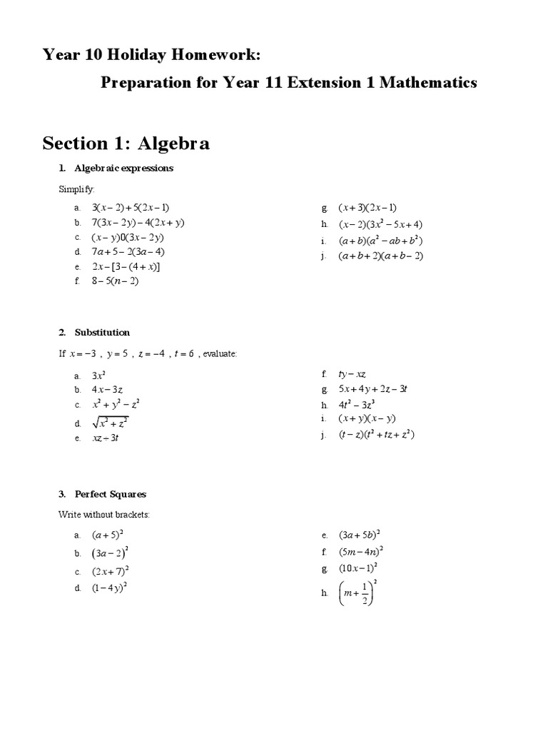 Year 10 Holiday Homework Extension 1 | PDF | Equations | Exponentiation