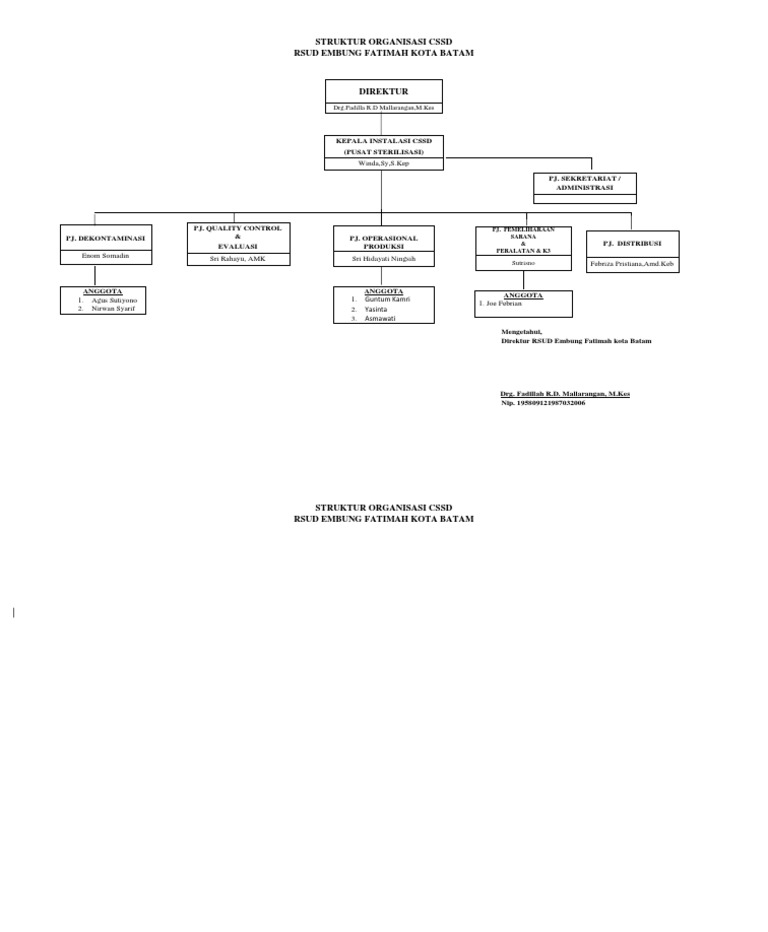 Struktur Organisasi Instalasi CSSD | PDF