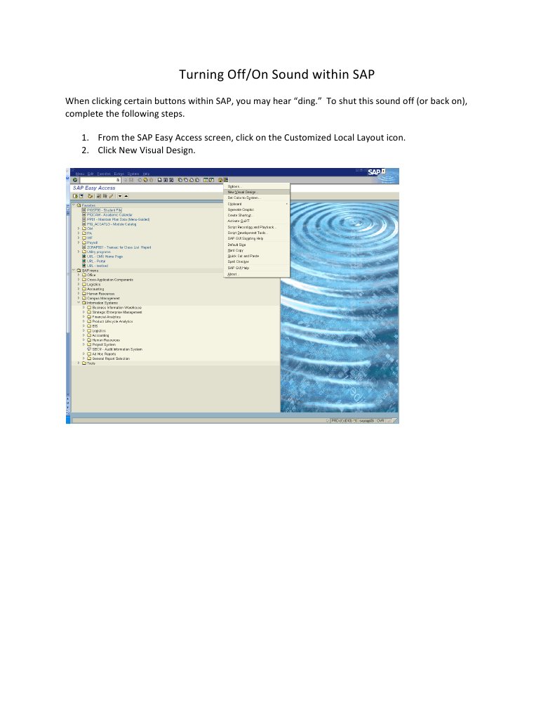 Turning Off On Sound Within Sap | PDF | Business | Computers