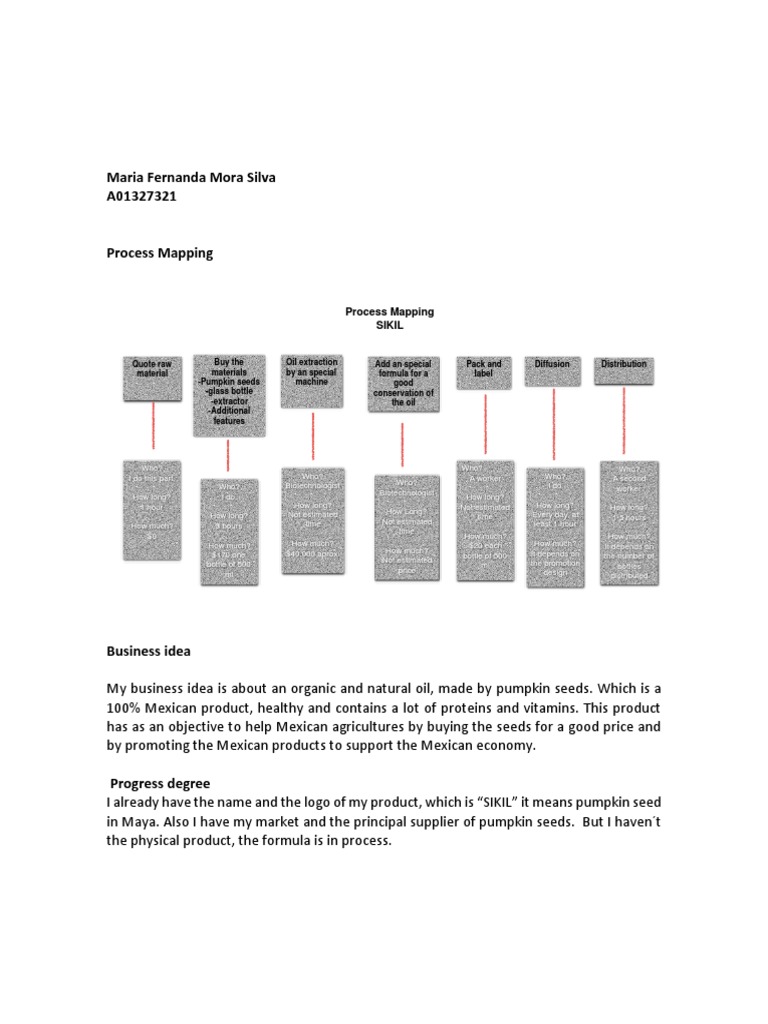 Process Mapping and Bussiness Idea | PDF | Economies | Business