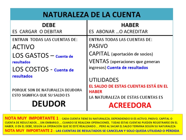 Naturaleza de las Cuentas Contables | PDF