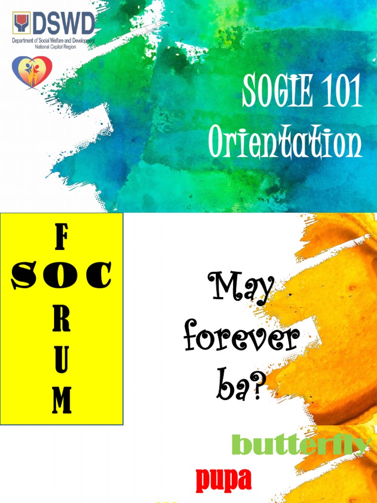 SOGIE | PDF | Sexual Orientation | Sexuality