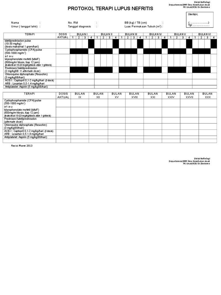 Protokol Terapi Lupus Nefritis | PDF