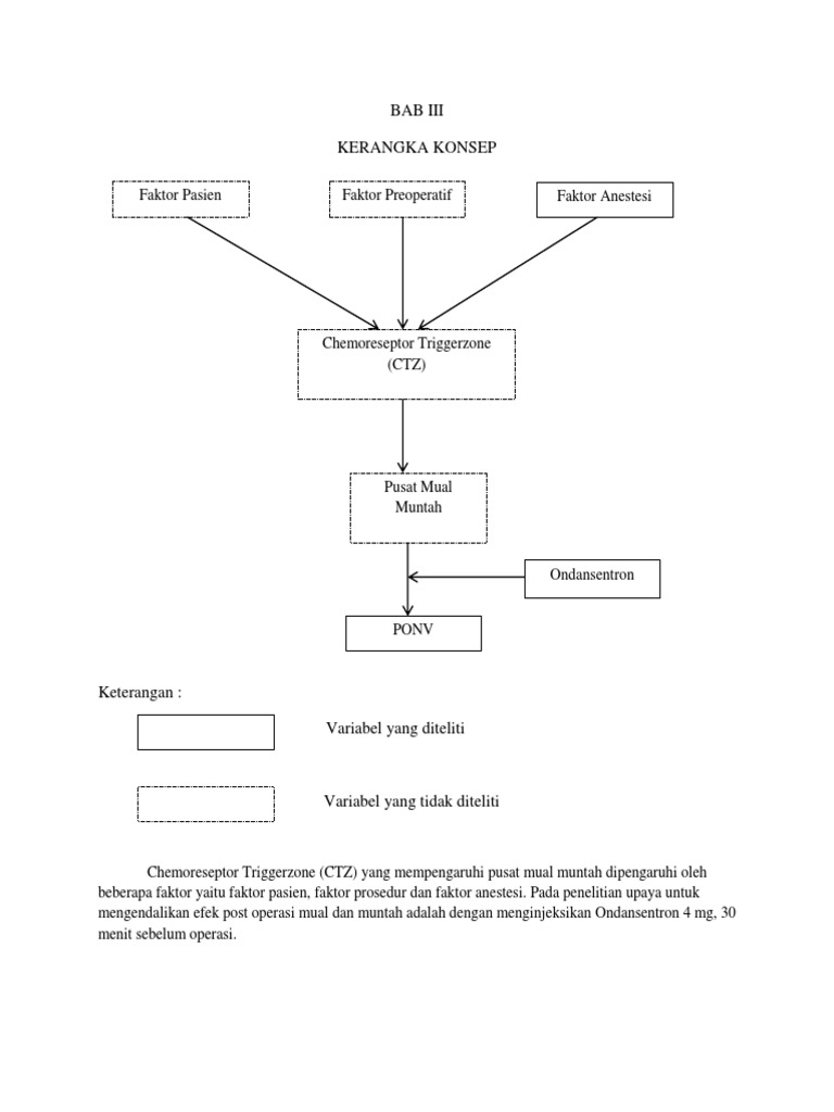 BAB III Kerangka Konsep | PDF