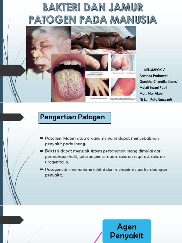 Bakteri dan Jamur Patogen Manusia | PDF