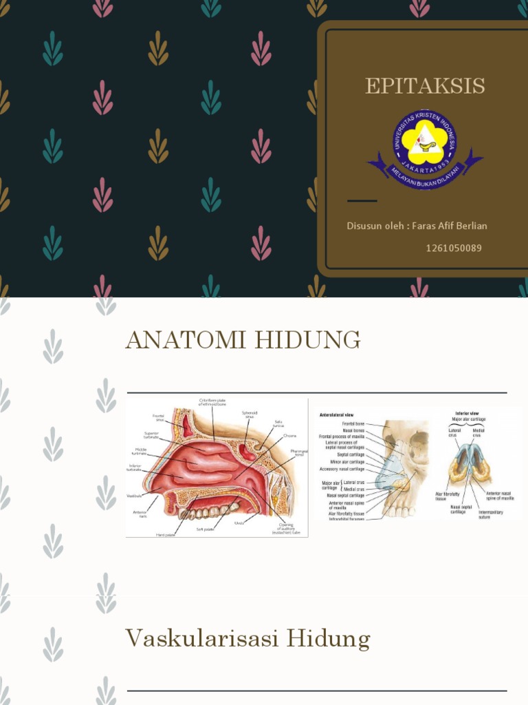 Reafarat Epitaksis (THT) | PDF