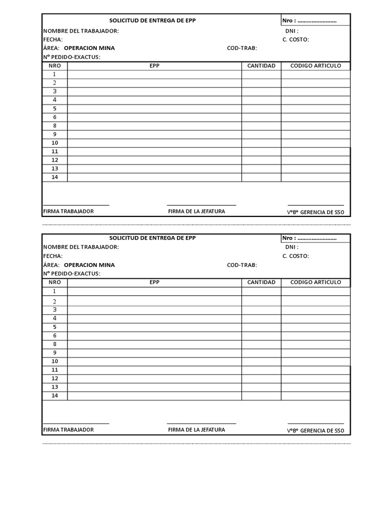 Solicitud de Epp | PDF