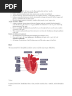 Blood and Circulation, iGCSE Biology | PDF | Circulatory System ...