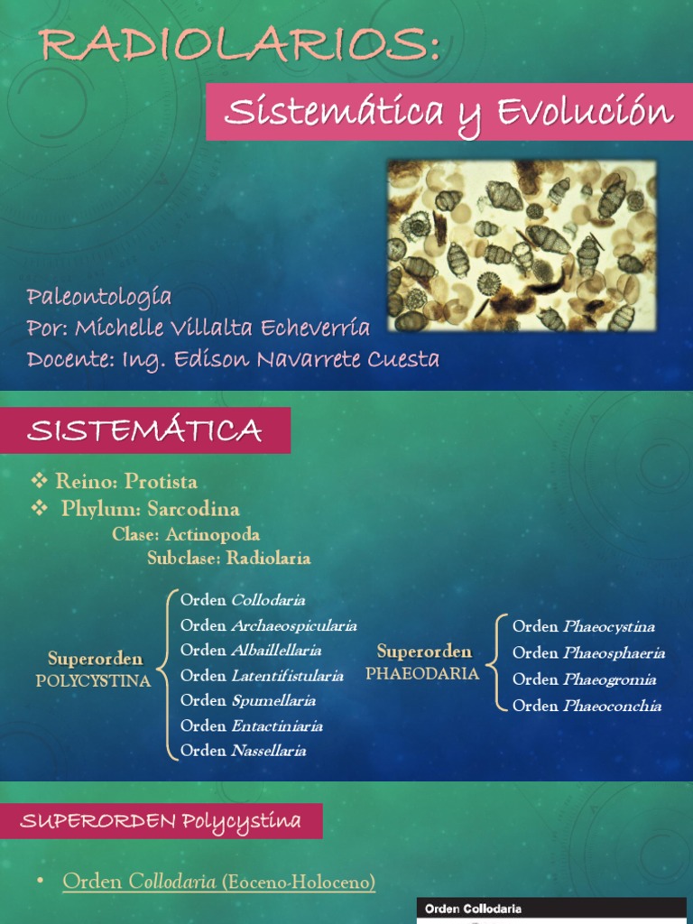 Radiolarios - Sistematica y Evolución | PDF | Organismos | Science