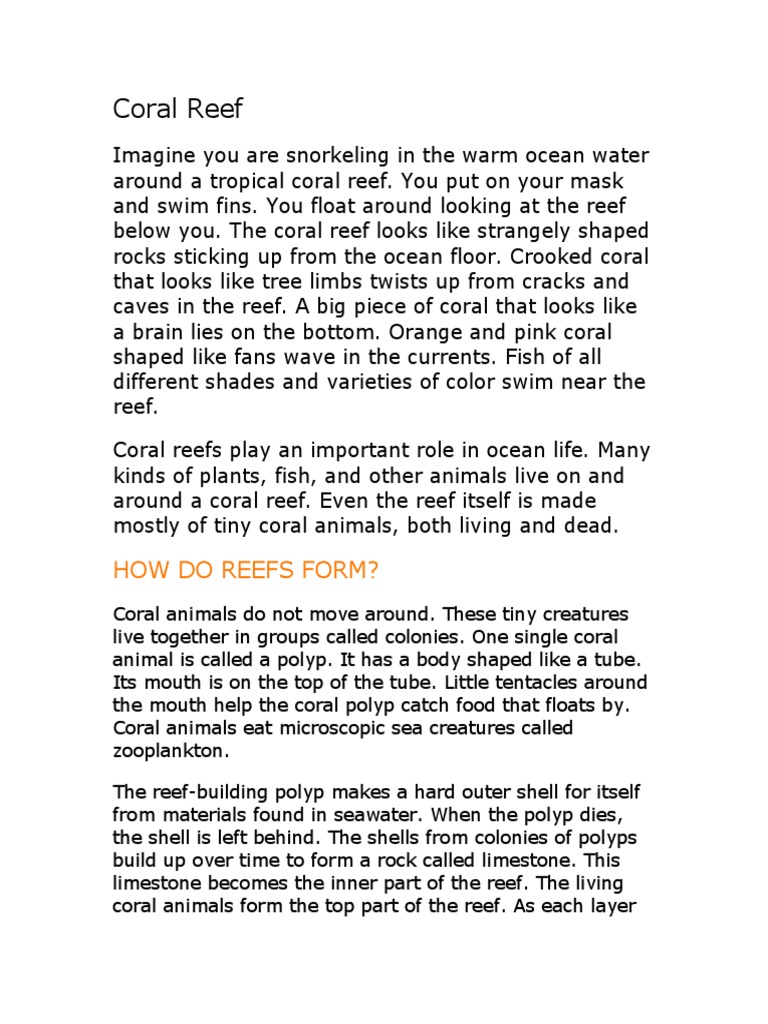 Coral Reef: How Do Reefs Form? | PDF | Coral Reef | Coral