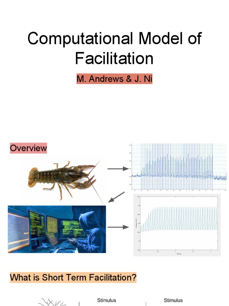 Facilitation | PDF | Stimulus (Physiology) | Chemical Synapse