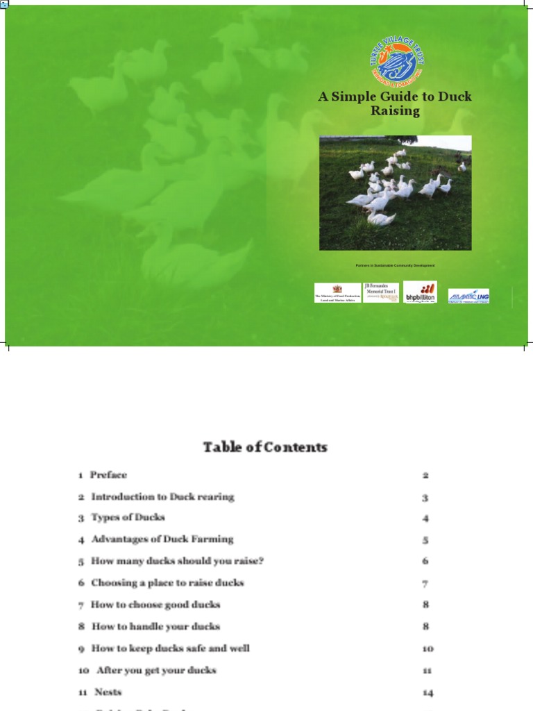 Duck PDF | Download Free PDF | Duck | Chicken