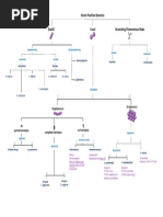 Flow Chart For Identification of Stool Pathogens (Enteric Fecal ...
