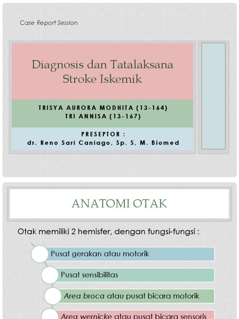Diagnosis Dan Tatalaksana Stroke Iskemik | PDF