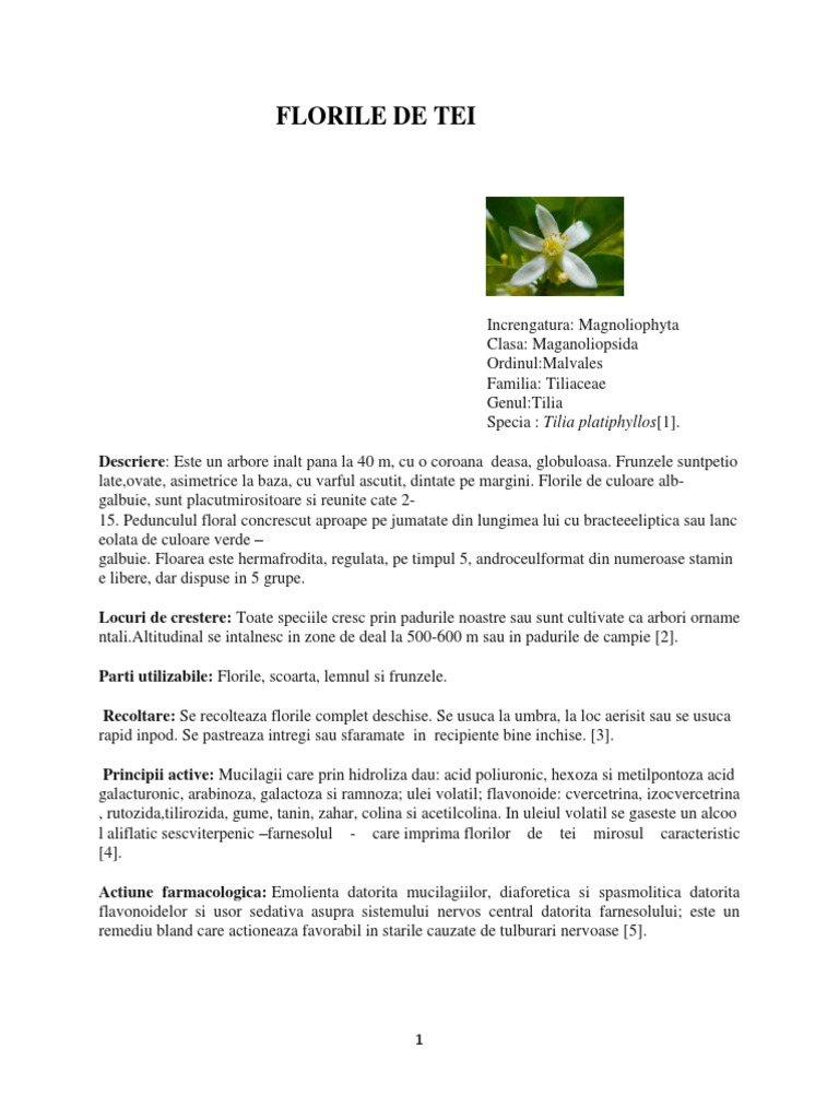 Flori de Tei | PDF