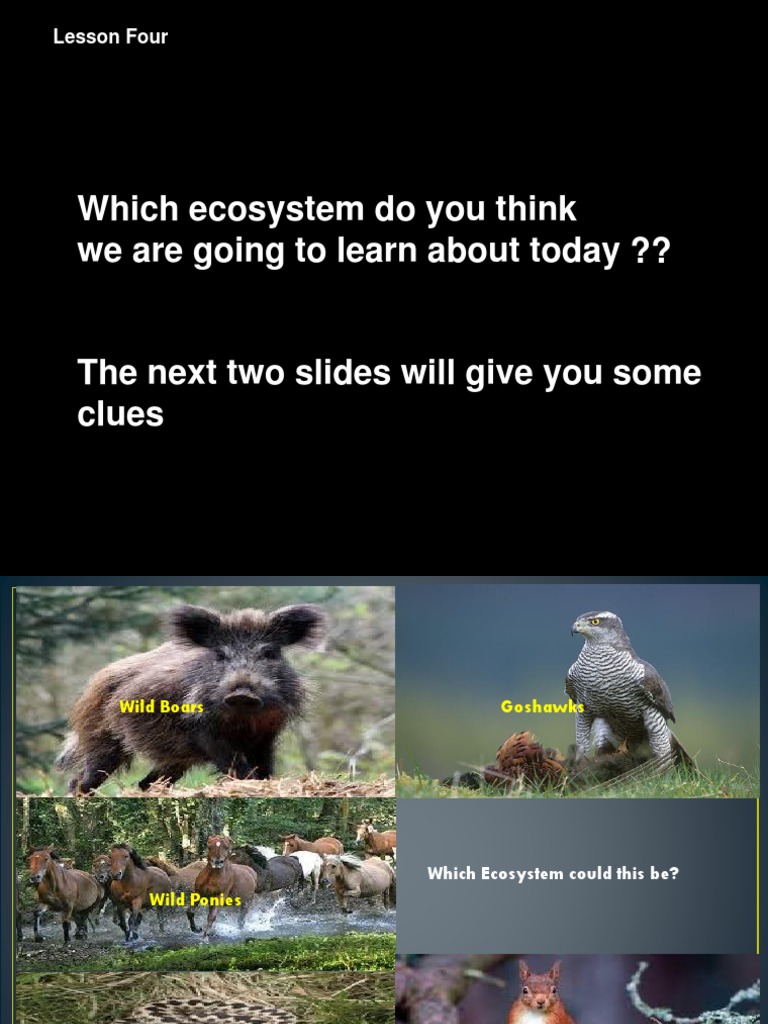 Lesson 4 - What Are We Learning Today About Ecosystems | PDF | Trees ...