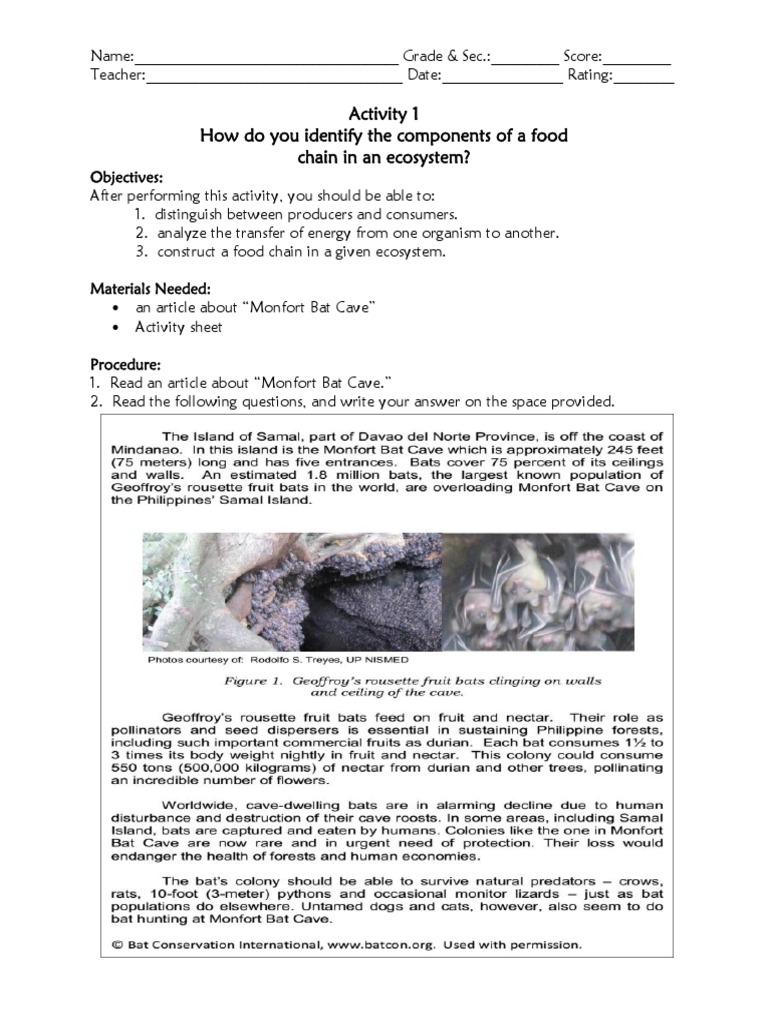 Analyzing Food Webs and Energy Transfer in Ecosystems: A Study of the ...