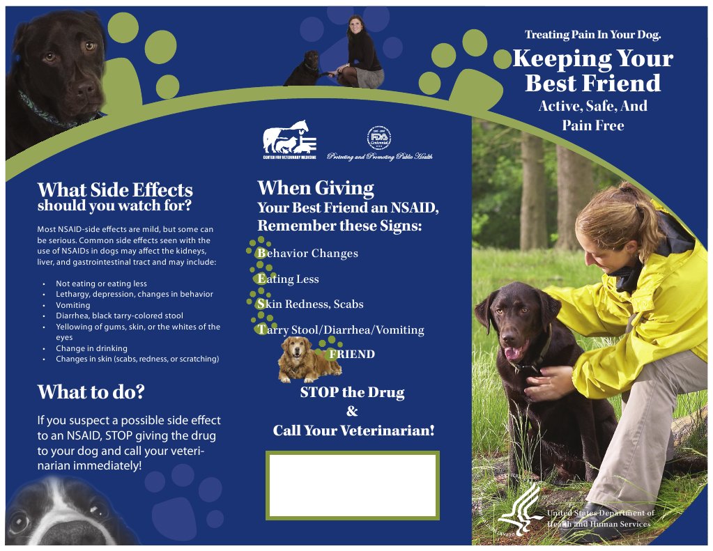 NSAID Brochure For Dogs | PDF | Nonsteroidal Anti Inflammatory Drug ...